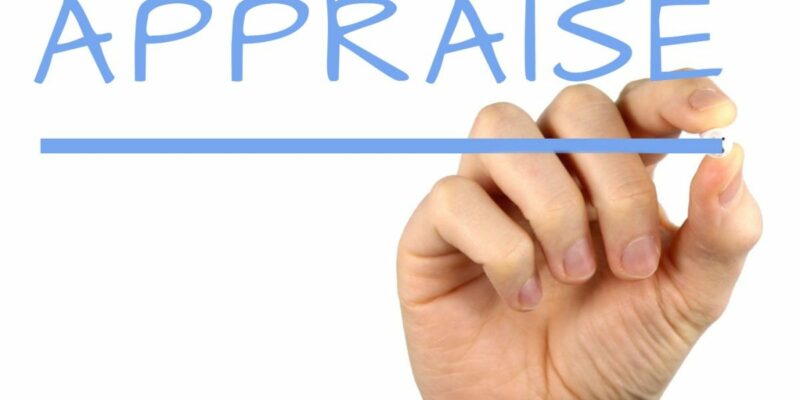 Appraisal Process Review - Litigation Support